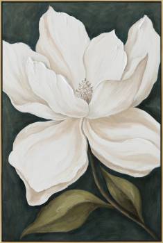 MAGNOLIA ARTWORK – Sydney's Plant Market