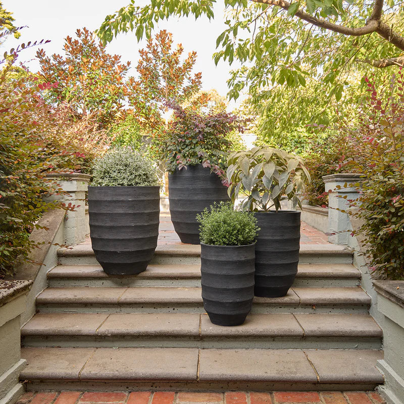 SAND HORIZONS U POT – Sydney's Plant Market