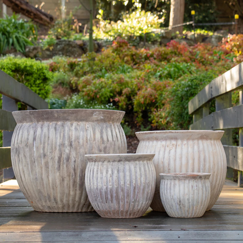 STELLA THREADS BELLY POT – Sydney's Plant Market