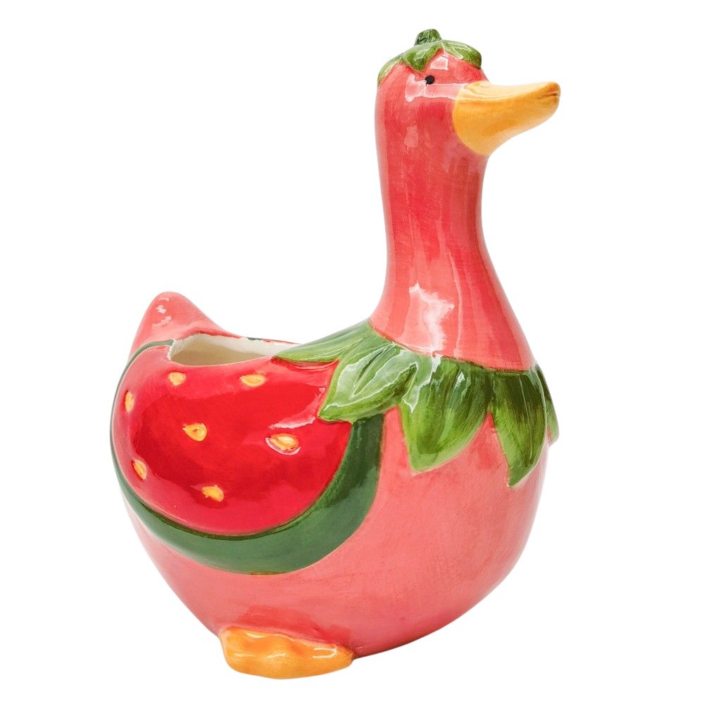 STRAWBERRY DUCK PLANTER – Sydney's Plant Market