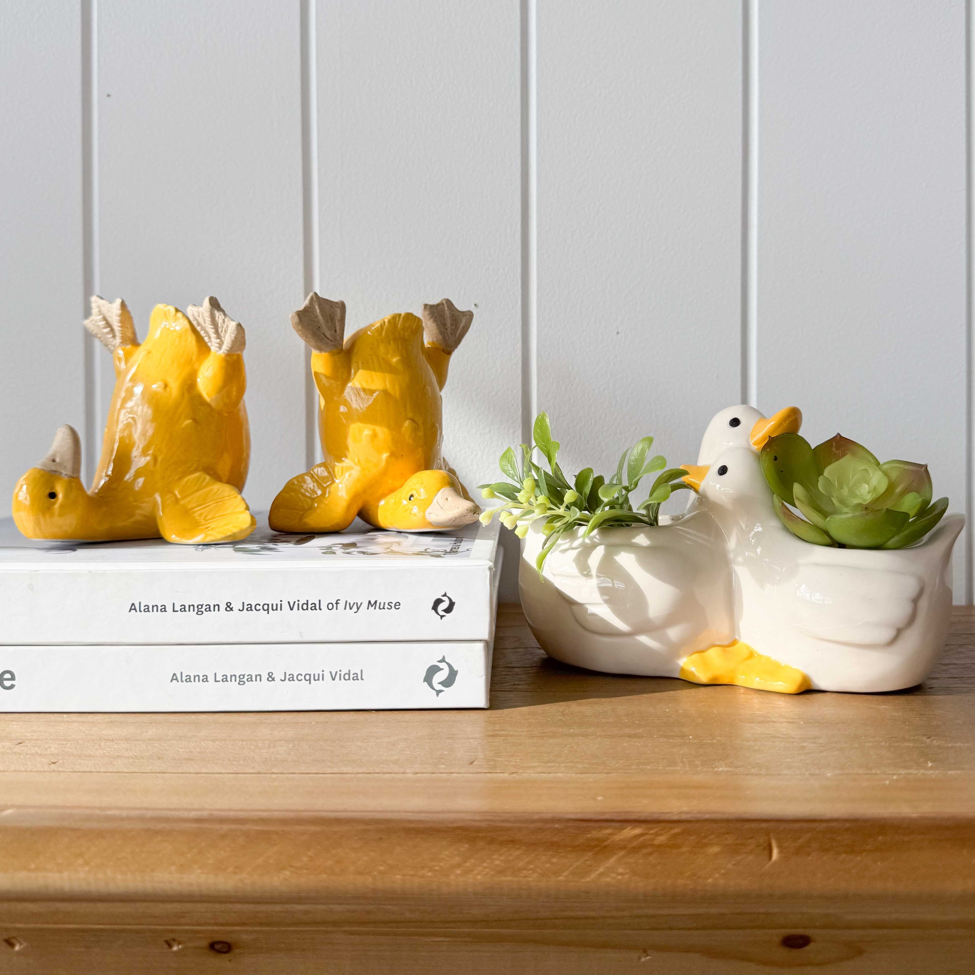 HUGGING DUCKS PLANTER – Sydney's Plant Market