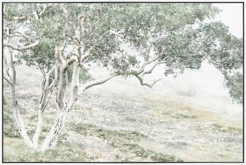 TERRY TREE CANVAS – Sydney's Plant Market